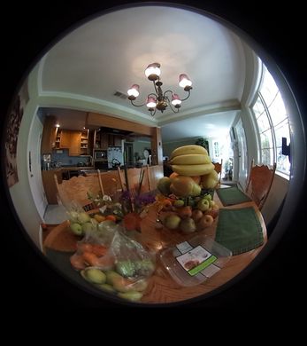 Example Fisheye To Pinhole - BoofCV
